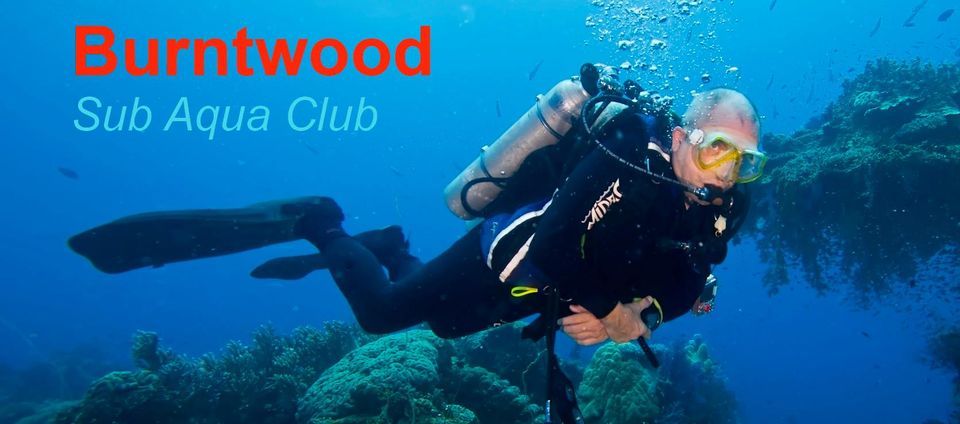 Lundy Island. Seal diving 20m at Ilfracombe, Porthcawl on 7th May, 2022