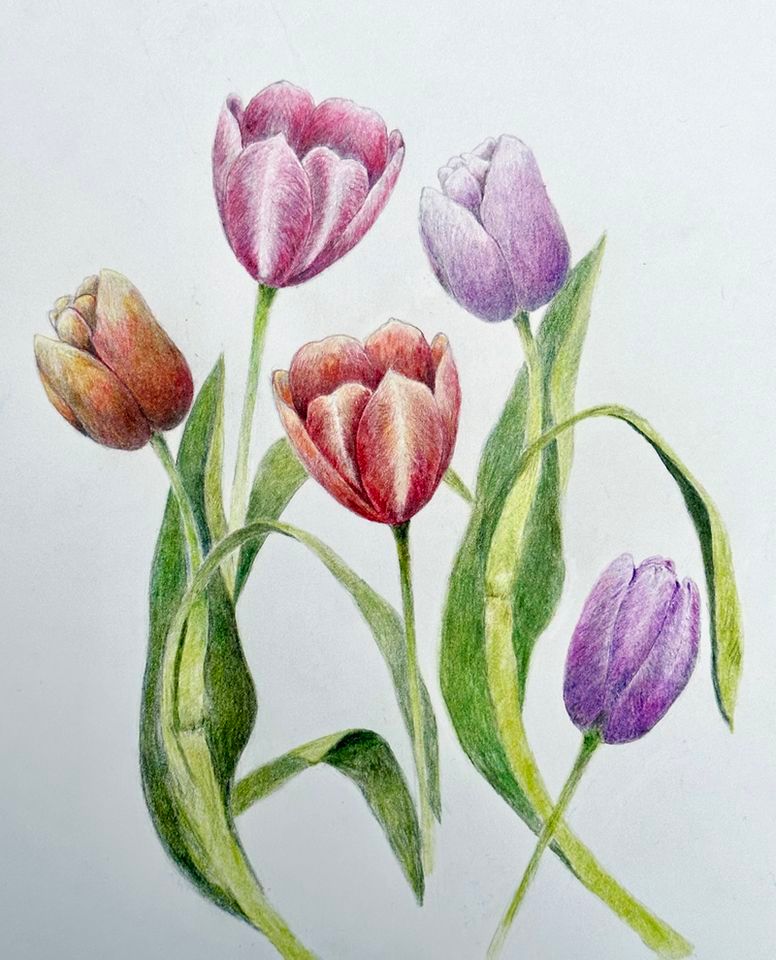 Intro to Botanical Drawing with Colored Pencils with Nancy Lyons at ...