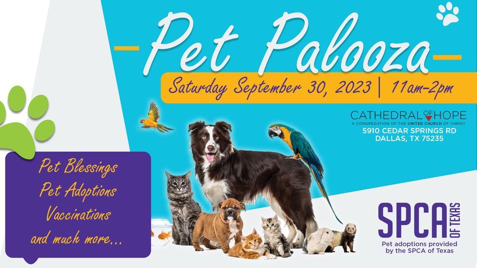 Pet Palooza at Cathedral of Hope | Cathedral of Hope, Dallas, TX | September 30, 2023