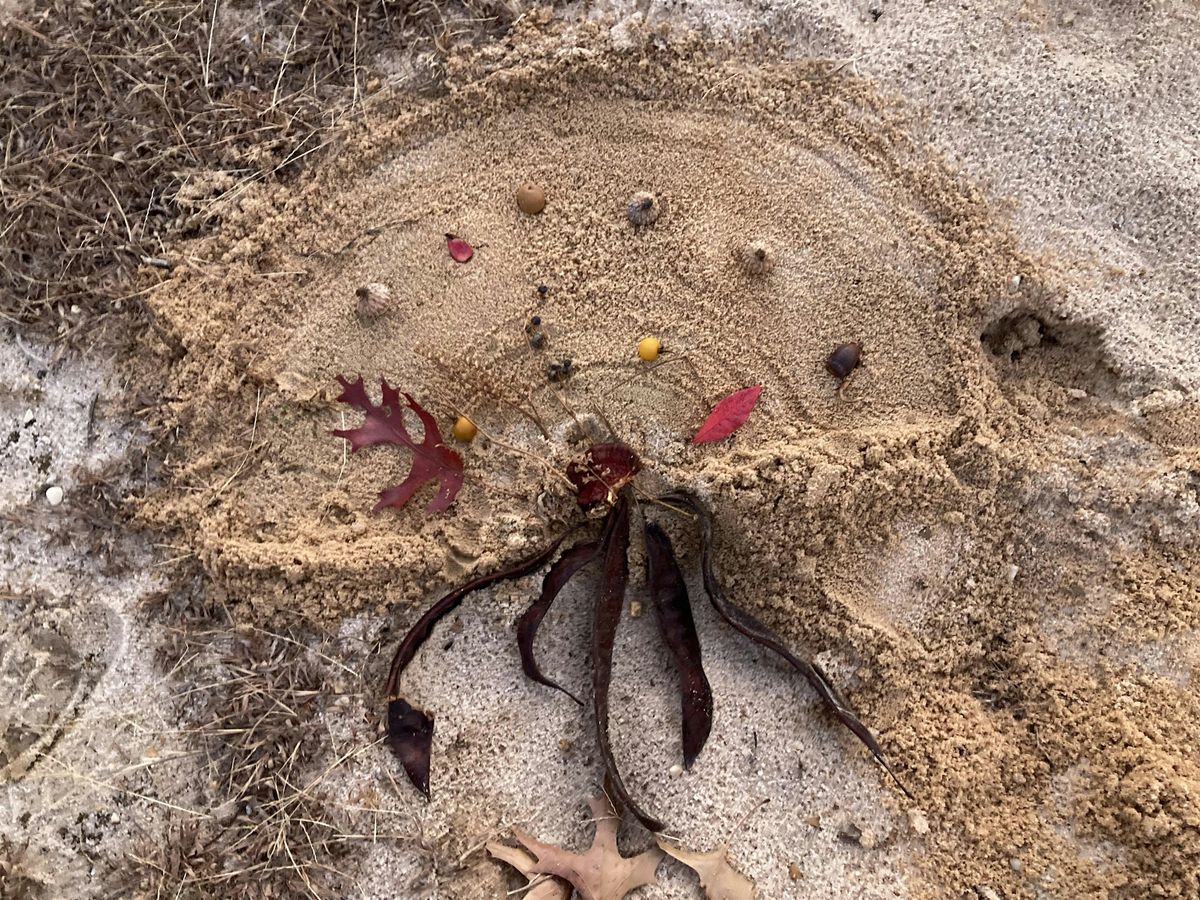 Gentle Nature Bathing with Noa at Red Gate Park, Rockville on 17th ...