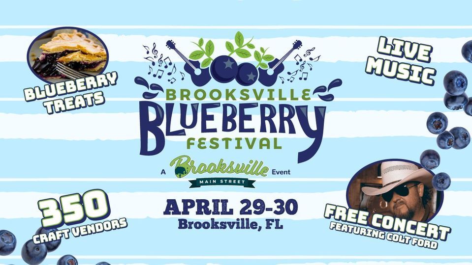 Brooksville Blueberry Festival 2023 at Downtown Brooksville Square on ...