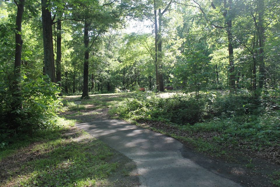 History Hikes | Cannon Branch Fort, Manassas, VA | May 22, 2022