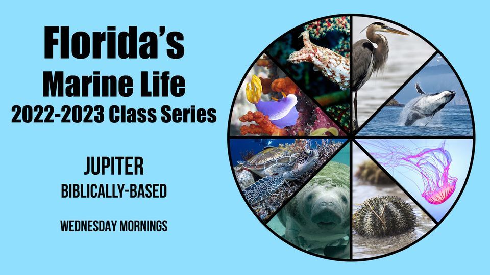 2022/2023 Floridas Marine Life Class Series | Jupiter at Dubois Park ...