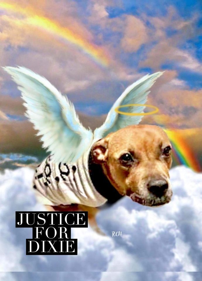 Justice for Dixie Protest March | Western Ave, Pittsburgh, PA 15233 ...