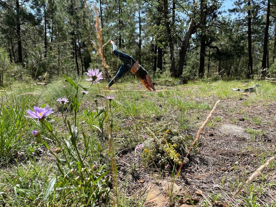 Gentle Yoga at the Anthem Community Center on Tuesday at 7:00pm | 41130 ...