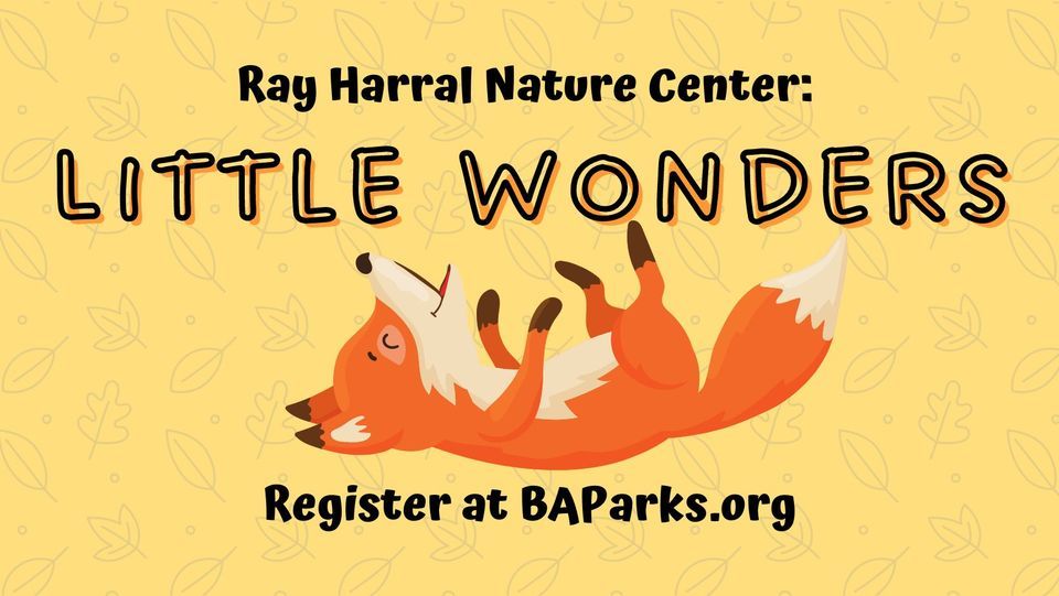 Little Wonders - March | Ray Harral Nature Park, Broken Arrow, OK ...