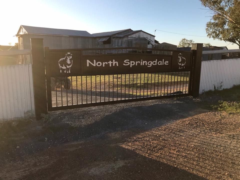 2022 Springdale and Keilah Australian White Ram Sale at Stanthorpe ...