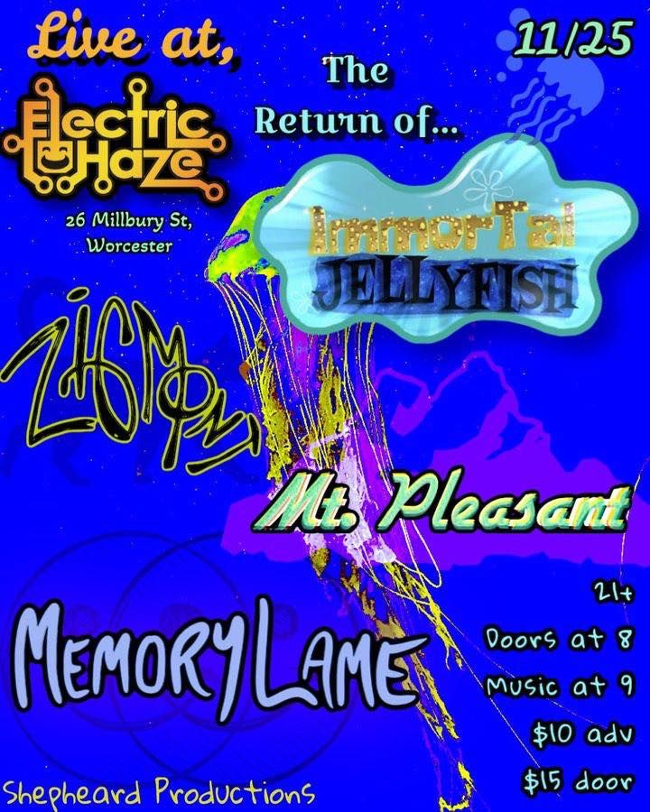 Zigmont, Memory Lame, Mt. Pleasant, and Immortal Jellyfish live at ...