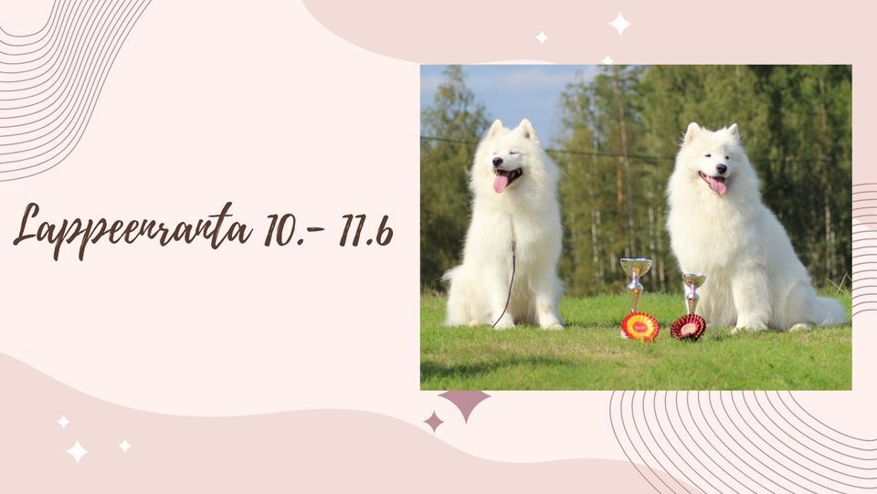 Samojedinkoirien erikoisnäyttely 2023 LAPPEENRANTA | Raviradantie 13 ...