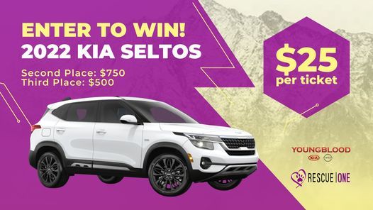 5th Annual Car Raffle Drawing | Youngblood Auto Group, Springfield, MO ...