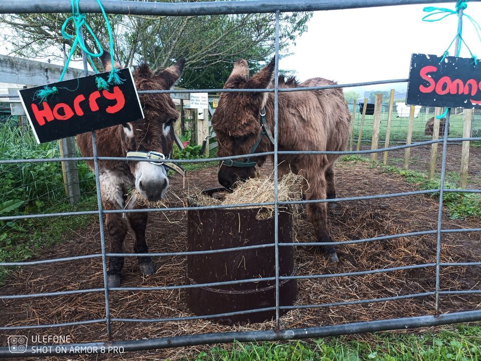 Fun @ The Farm | Kaipaki Petting Farm, Tokoroa, WK | December 10, 2023