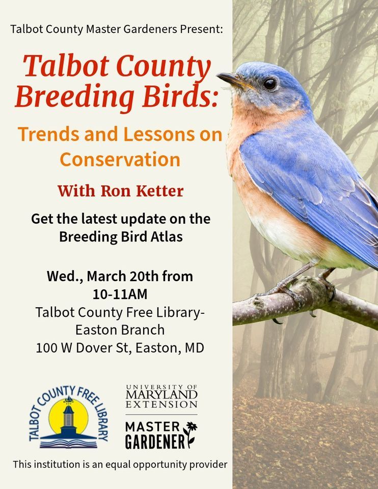 Talbot County Breeding Birds: Trends & Lessons on Conservation at Talbot County Free Library ...