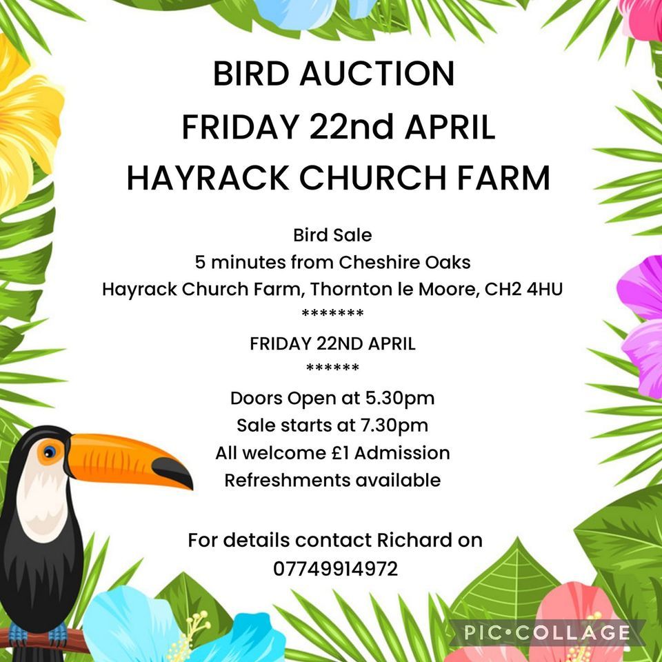 Bird Auction at Hayrack Church Farm, Chester on 22nd April, 2022