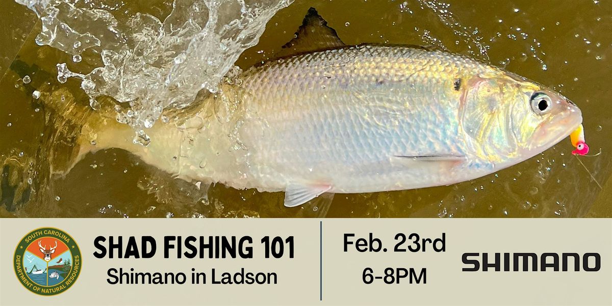 Shad Fishing 101-Where, When, and How at Shimano, Ladson on 23rd ...