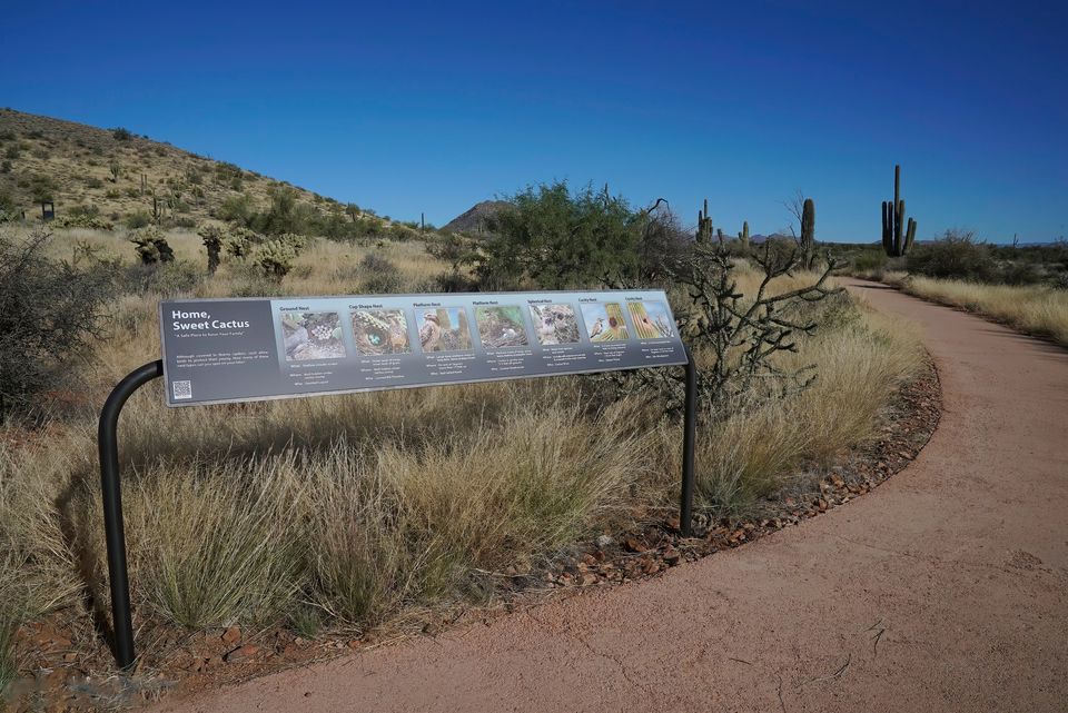 Biodiversity in the Sonoran Desert Educational Walk at Fraesfield ...