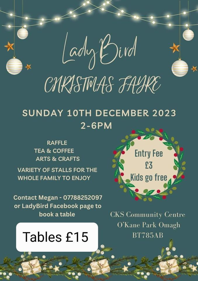 Ladybird Playgroup Christmas Fayre at Cks Community Centre, Omagh on ...