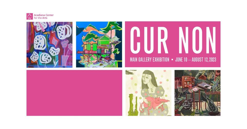 "Cur Non" Exhibition Opening at Acadiana Center for the Arts, Lafayette ...