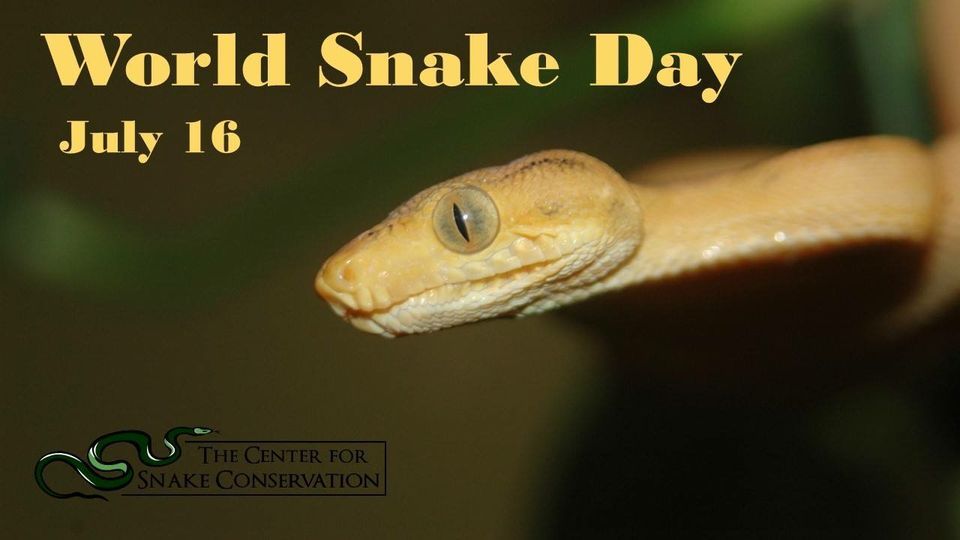 World Snake Day at My Nature Lab, Louisville on 16th July, 2022