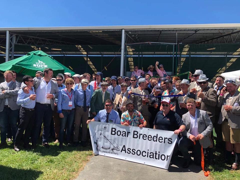 2022 Boar Breeders Association Competition at NZ Agricultural Show at ...