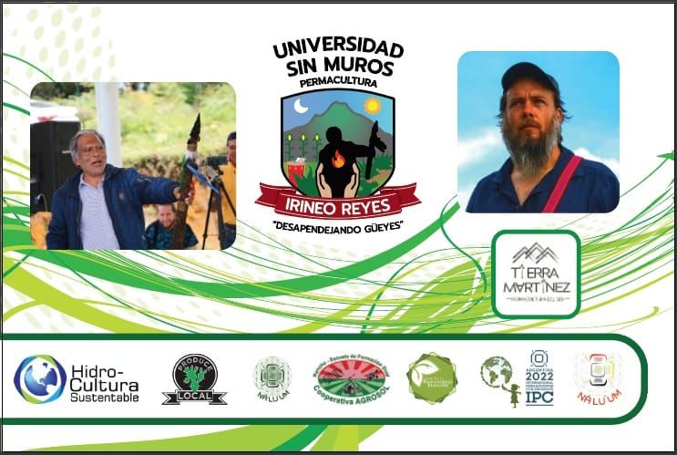 Capacitación para la producción del Hongo Z comestible | Ranchería De ...