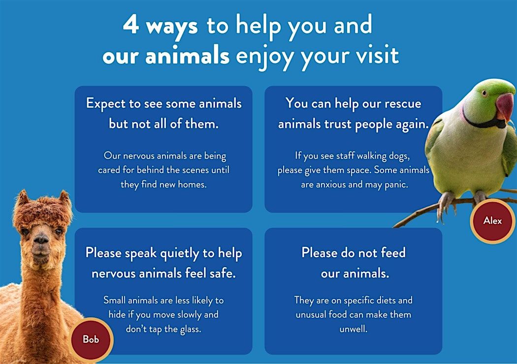 Raystede Centre for Animal Welfare 26th January to 1st February at ...