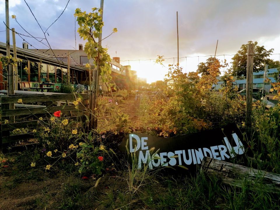 Mini moestuin workshop bij De VerbroederIJ! at De VerbroederIJ ...