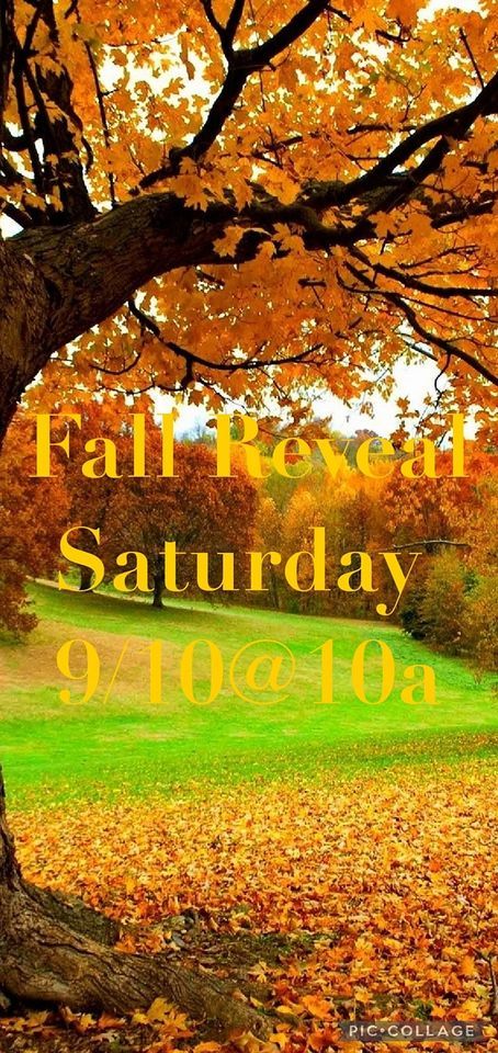 2022 Fall Reveal!!!? at Clothes Mentor Springfield, IL on 10th ...