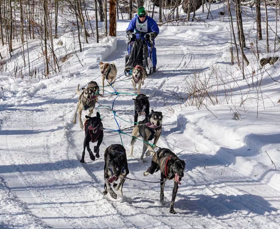 95th World Championship Sled Dog Derby at Laconia (NH) Main Street on ...