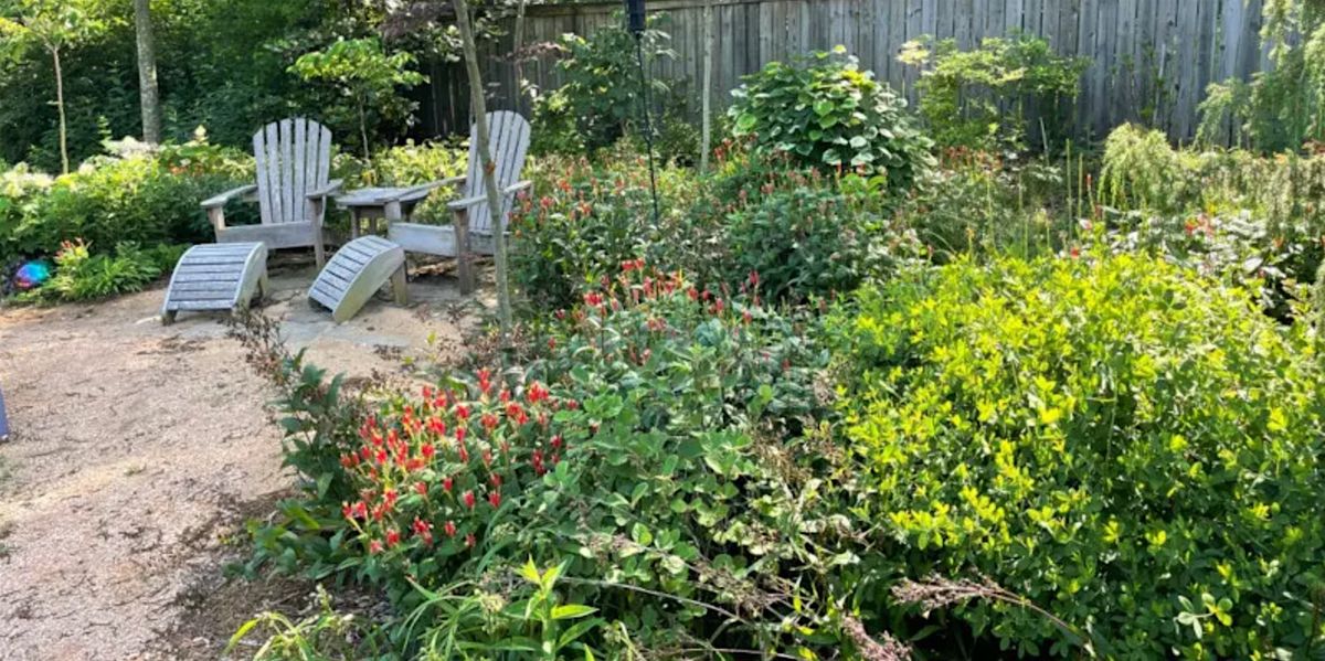 Garden Design With Native Plants - Hattie Meadows Gardening School at ...