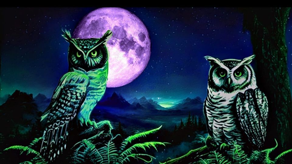 Inaugural PDX Full Moon Gathering - Willamette River - TOP SECRET BEACH ...