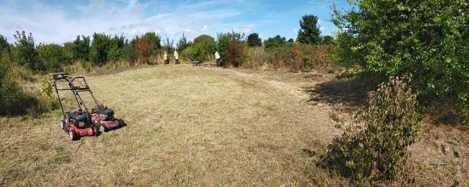 Sunday Wood Work - September 2023 | Dane Valley Woods, Margate, EN ...