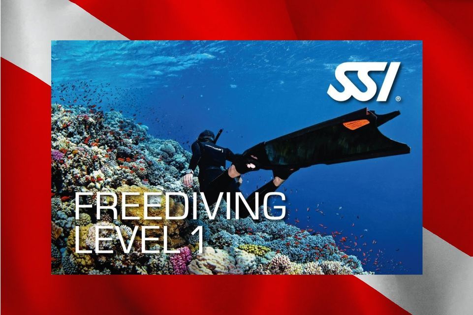 Freediving Level 1 at The Dive Shop II, Little Rock on 29th July, 2022