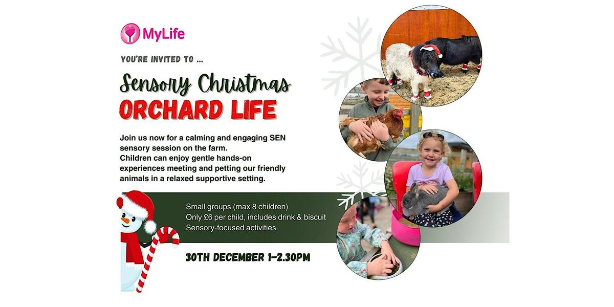 A calming and engaging sensory session on the My Life Farm at My Life ...