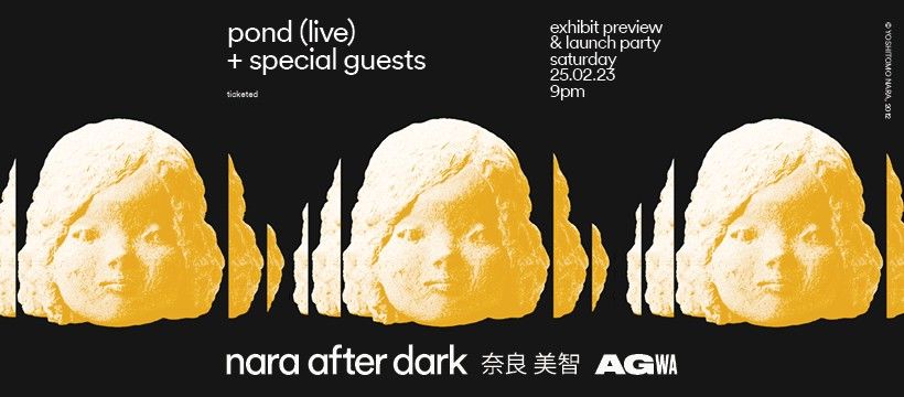 NARA AFTER DARK (featuring pond) at The Art Gallery of Western ...