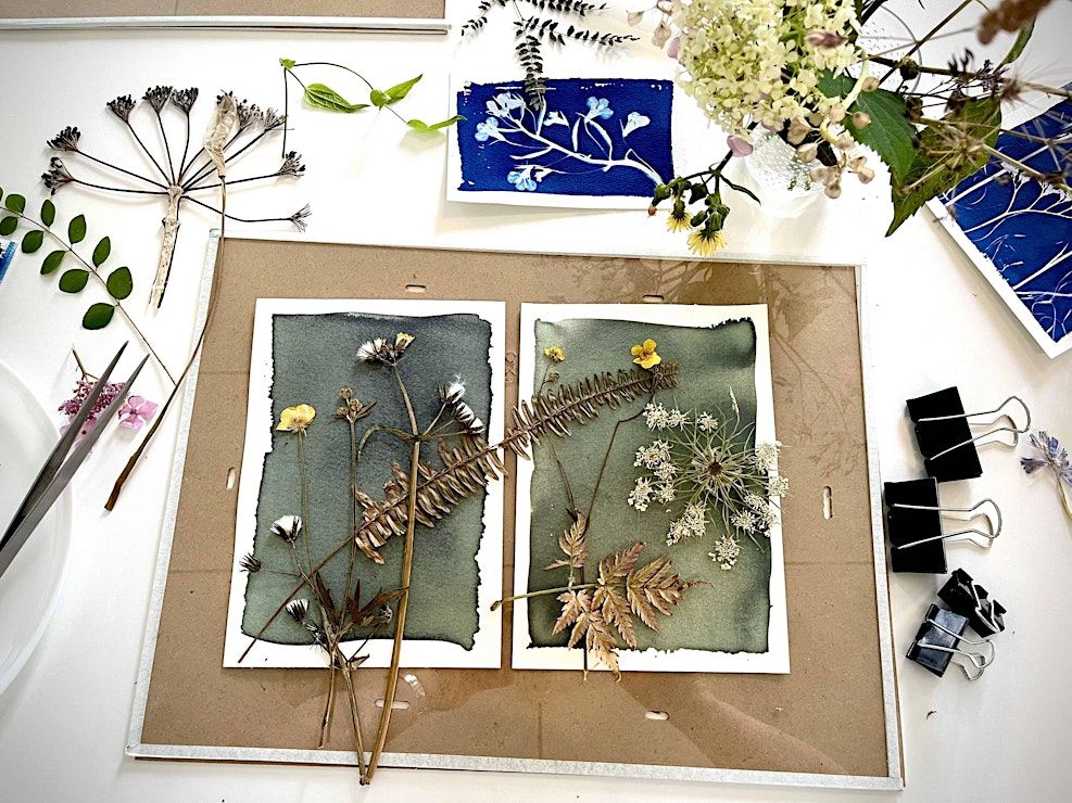 Cyanotype on Paper Workshops at Mare Wilson Art Studio at Wolvenplein ...