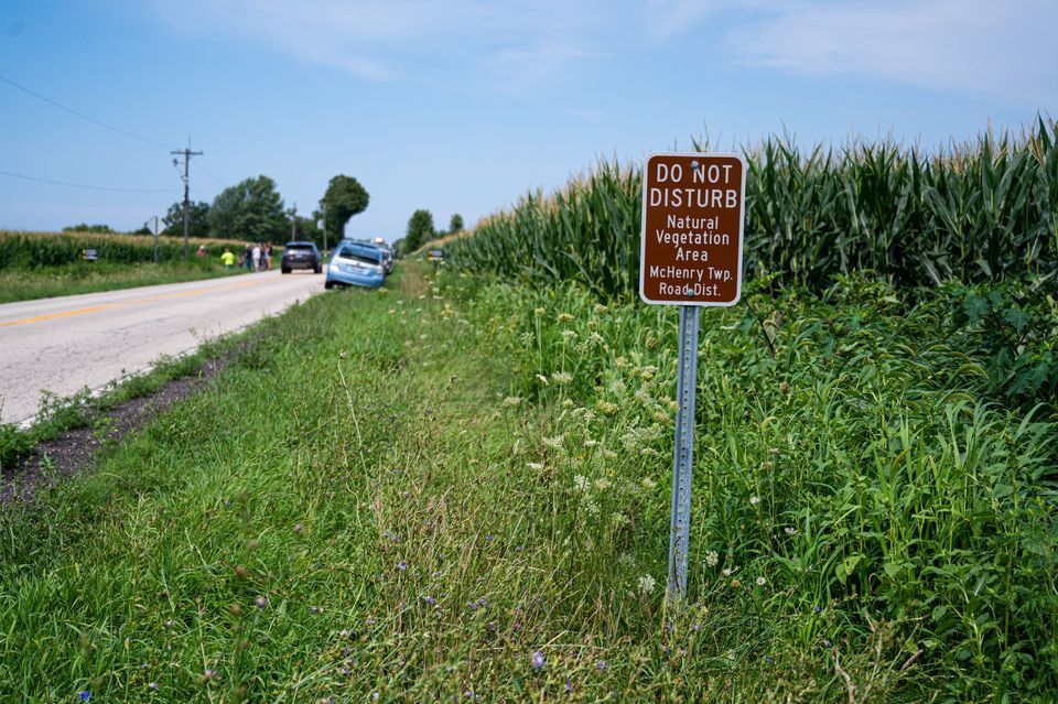BMP Talk & Tour- Green Infrastructure for Roadways: Turf-to-Native ...