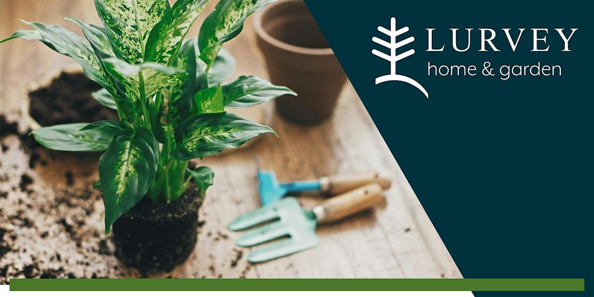 Happy Roots, Healthy Plants at Lurvey Home & Garden Center, Des Plaines ...