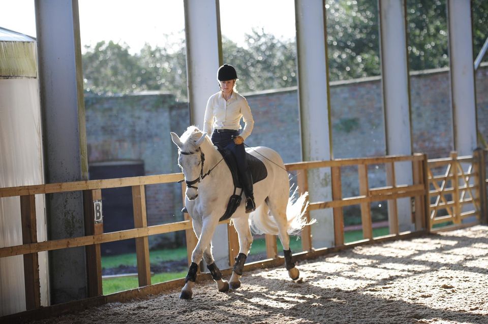 DISCO DRESSAGE with Anna Hawkins | Hadlow College Equine, Tonbridge, EN ...