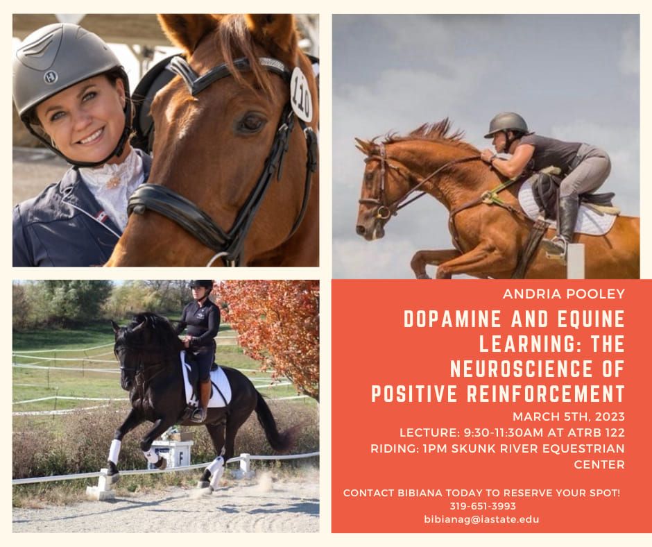 Dopamine and Equine Learning: The Neuroscience of Positive ...