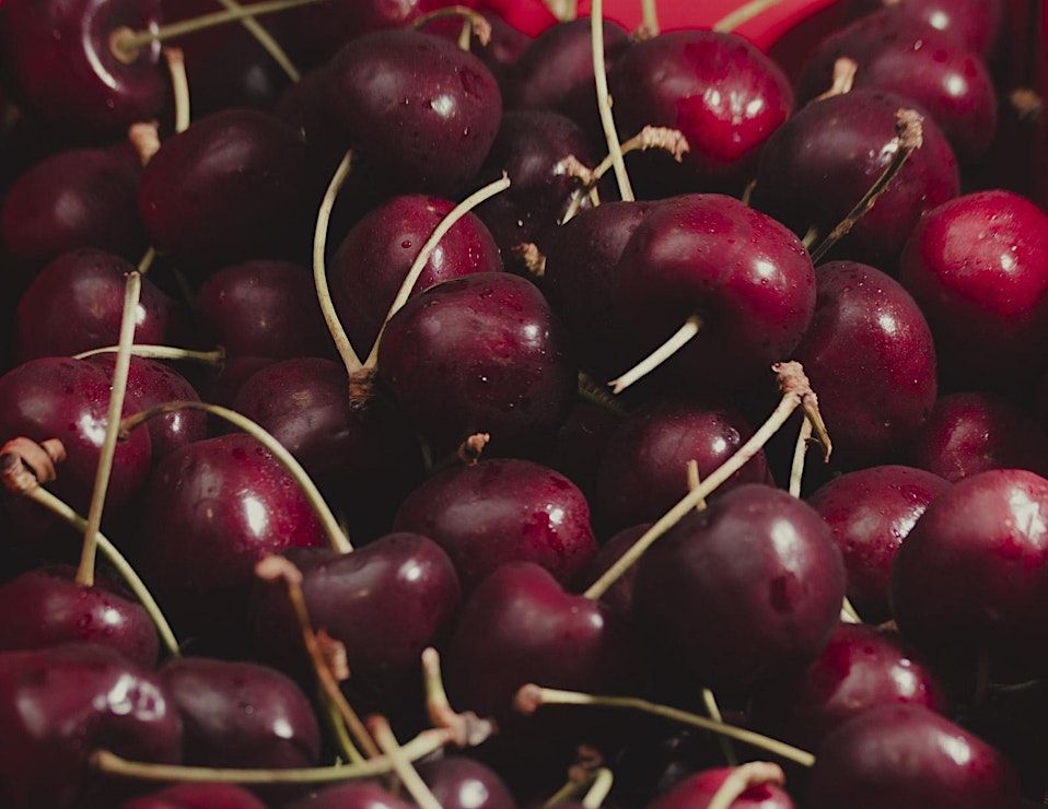 Back to Basics with Flash at Julie Powell Photography Studio, Narre ...