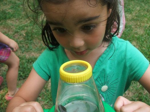 August Mini-Camp in Nature at Sheldrake Environmental Center, Larchmont ...