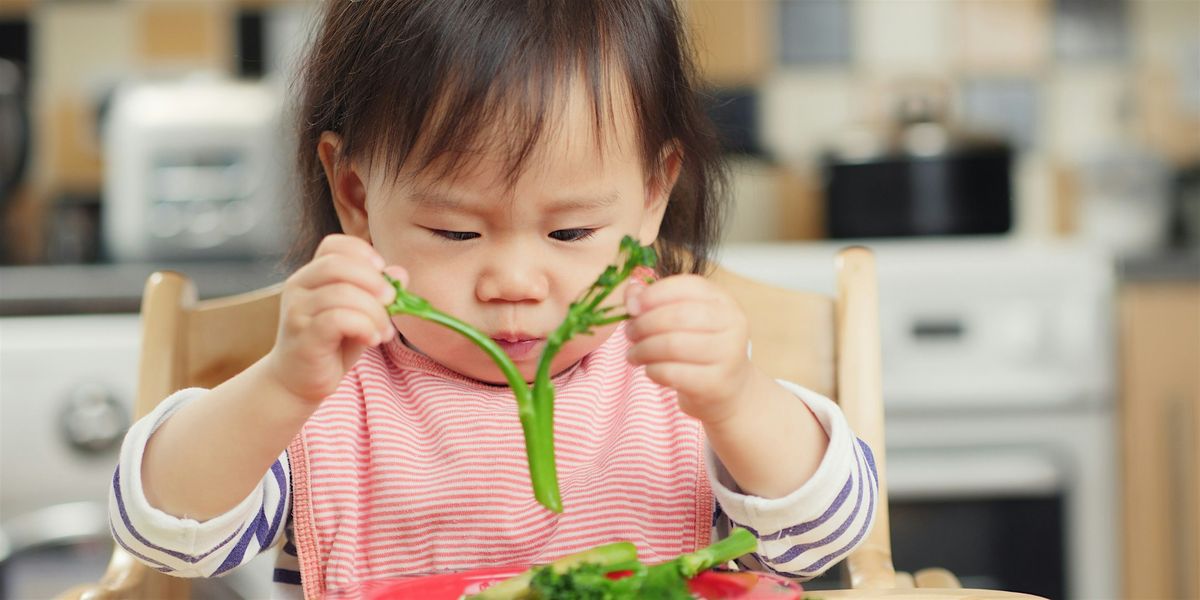 Introduction to Solid Foods - 19/02/2026, 10:00 - 11:30 Beane Valley at ...
