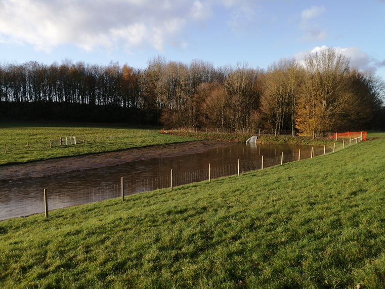 Slow the Flow - tour of the new wetlands at Grassmoor Country Park ...
