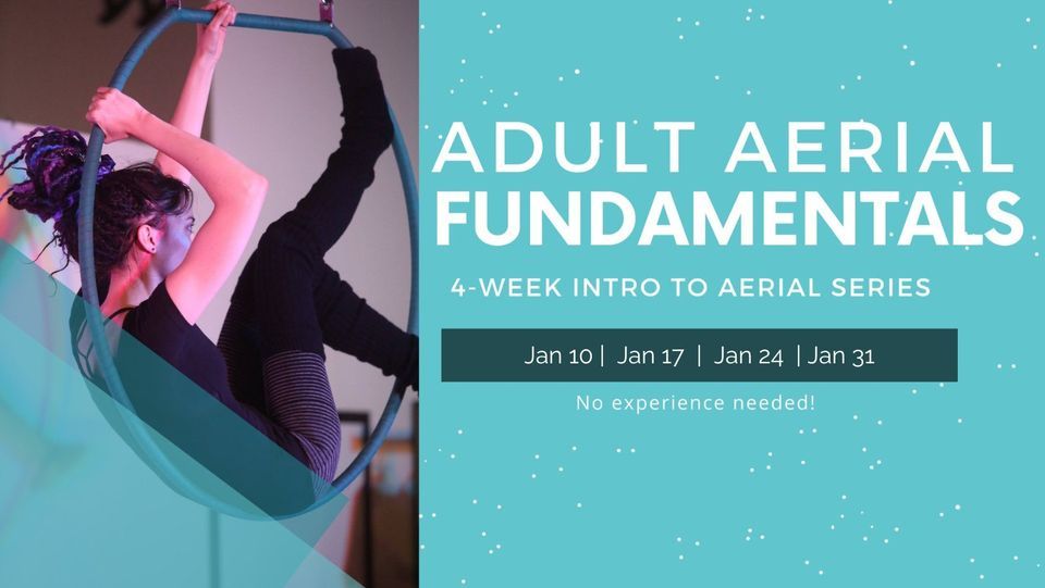 Adult Aerial FUNdamentals | Cirque Wonderland Studios, West Des Moines, IA | January 10, 2024