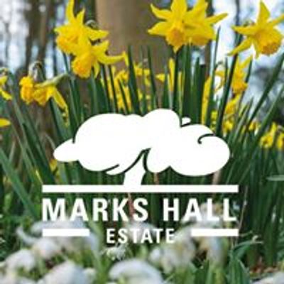 Aladdin (Indoor Pantomime) at Markshall Estate, Earls Colne on 22nd ...